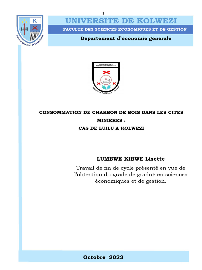 Consommation de Charbon à Luilu | PDF | Charbon | Offre et demande