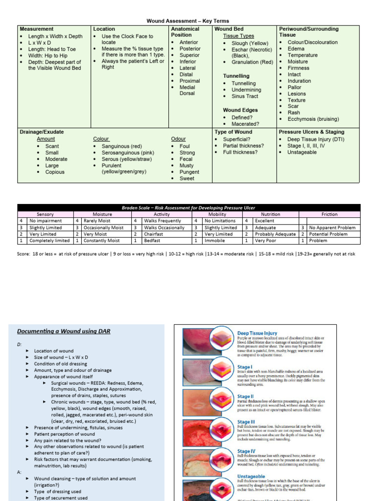NURS1145 Skin Wound Assessment HANDOUT1 | PDF | Wound | Anatomical ...