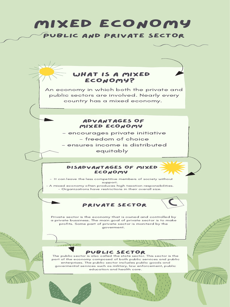 Mixed Economy: Public and Private Sector | PDF