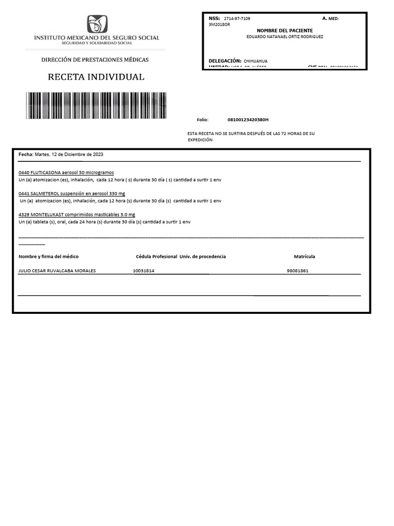 Receta IMSS Editable 1 Docx | PDF