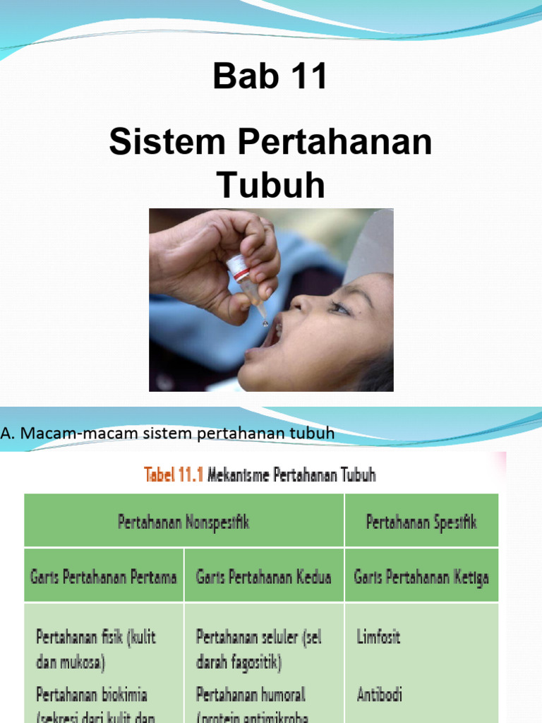 Bab11 Sistem Pertahanan Tubuh | PDF