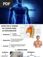 Evaluación del Choque de Punta Cardíaco | PDF | Medicina Interna | Corazón