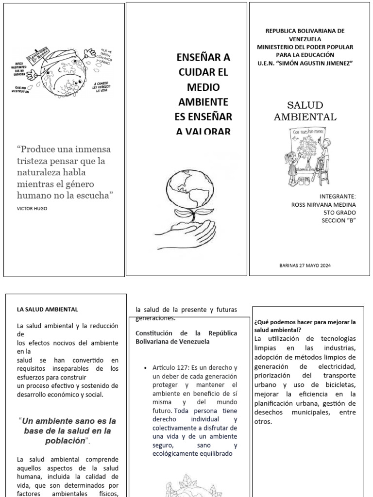 Salud Ambiental y su Importancia | PDF | Salud Ambiental | Entorno natural