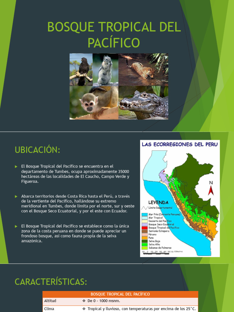 Bosque Tropical Del Pacifico6 | PDF | Zona tropical | Ciencias de la Tierra