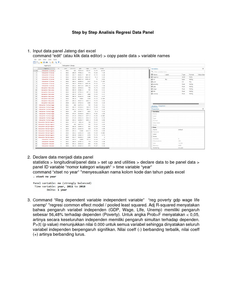 Step by Step Regresi Data Panel STATA | PDF