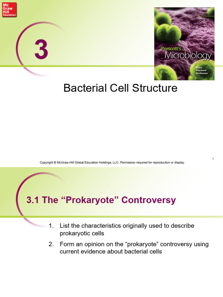 Ch03 Lecture | PDF | Cell Membrane | Bacteria