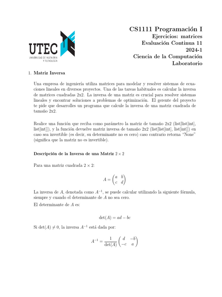 Ec11 ENUNCIADO 24 1 Prog1 Eval Continua 11 Matrices ÍndIces WILDER NINA | PDF | Matriz ...