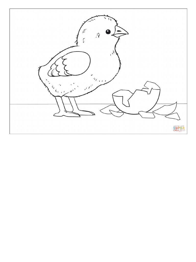Chick Coloring Page - Free Printable Coloring Pages | PDF