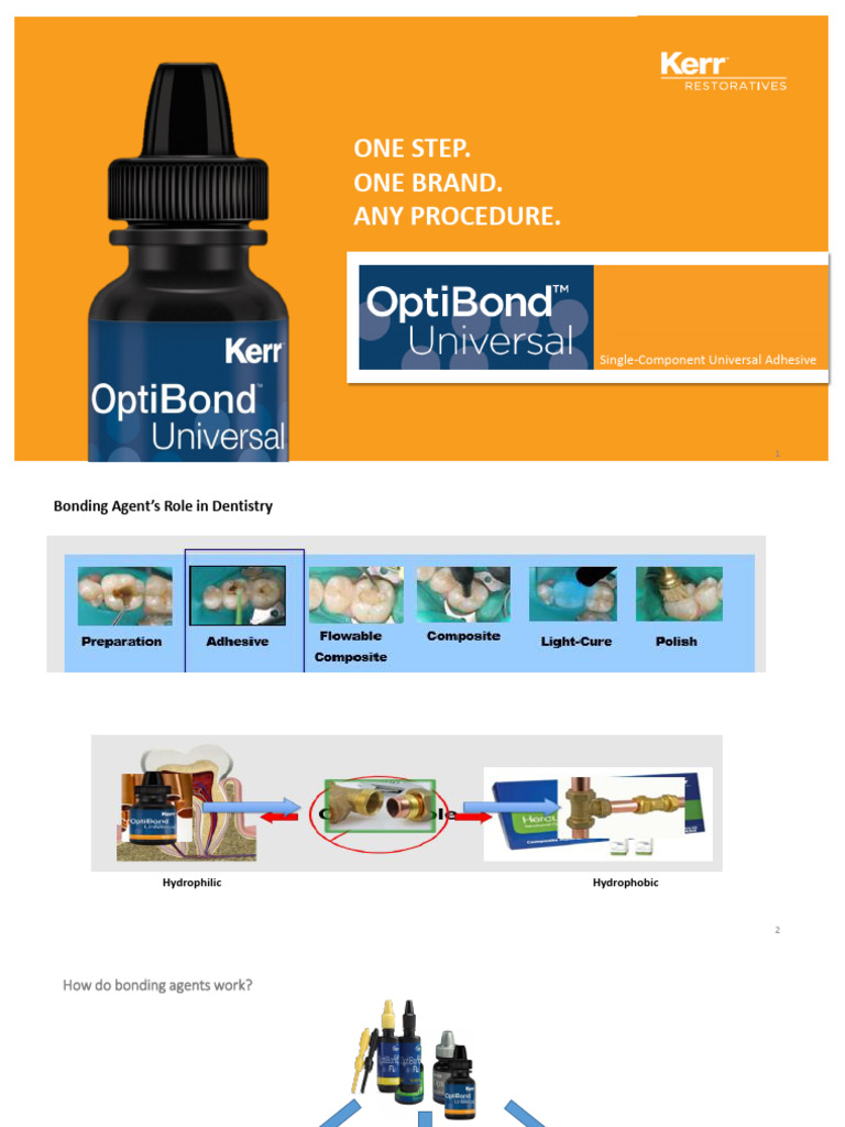 OptiBond Universal 1coat Pitchbook Training | PDF | Dental Composite ...