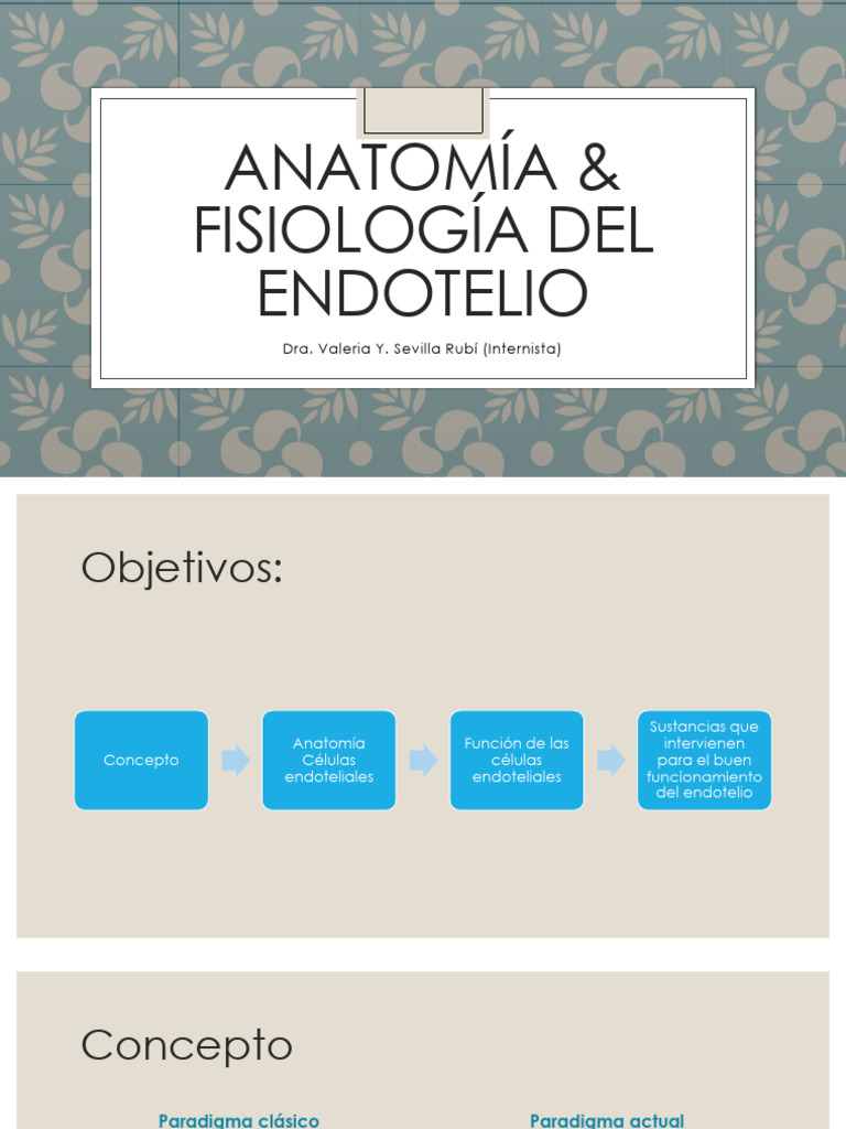 Anatomía & Fisiología Del Endotelio | PDF | Endotelio | Coagulación