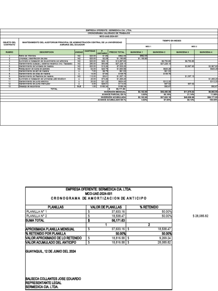Cronograma Oferente | PDF