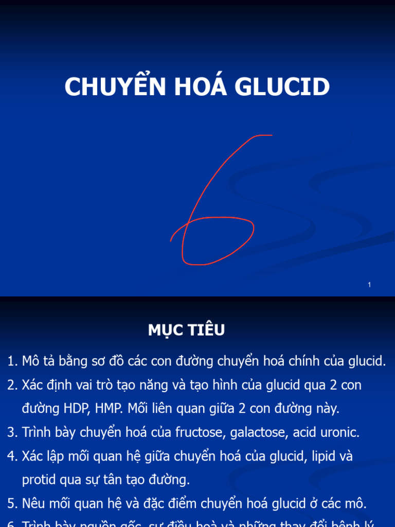 Chuyen Hoa Glucid | PDF