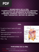 Regla de Wallace para Quemaduras | PDF | Anatomía humana | Anatomía de ...