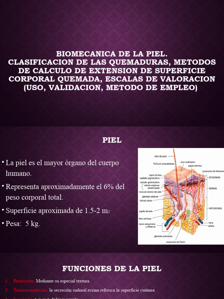 Biomecanica de La Piel | PDF | Quemar | Piel