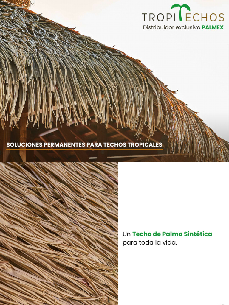 Brochure Palmex | PDF