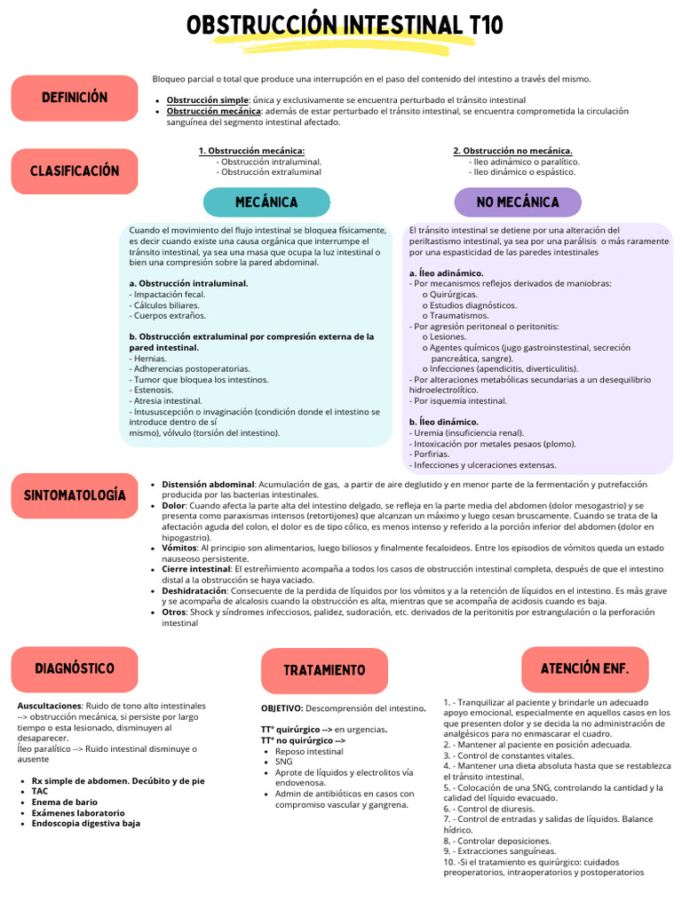 Tema 10 Obstrucción Intestinal Descargar Gratis Pdf Causas De La