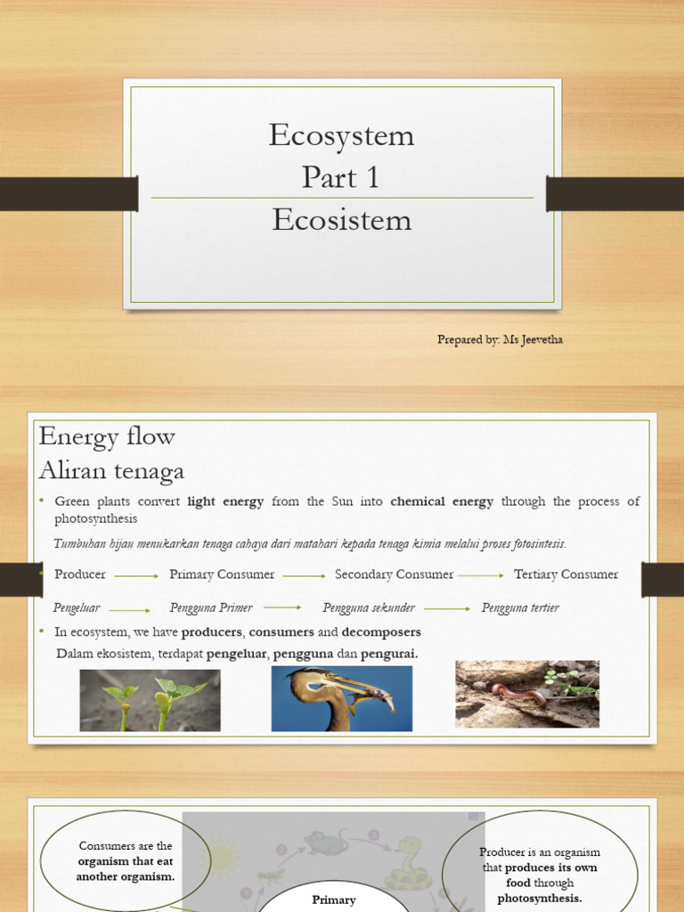 Chapter 2 - Ecosysytem | PDF