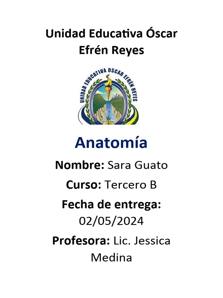 Anatomía y Función de la Rótula | PDF
