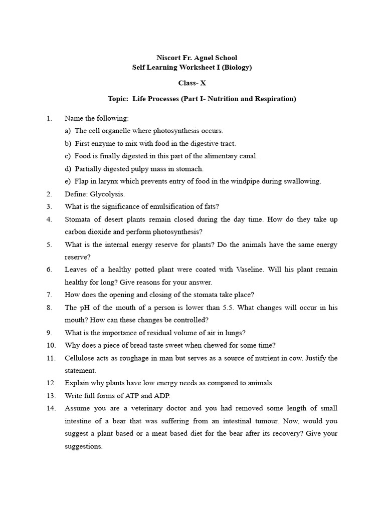 SLW Life Processes Class 10 Part 1 | PDF | Digestion | Foods