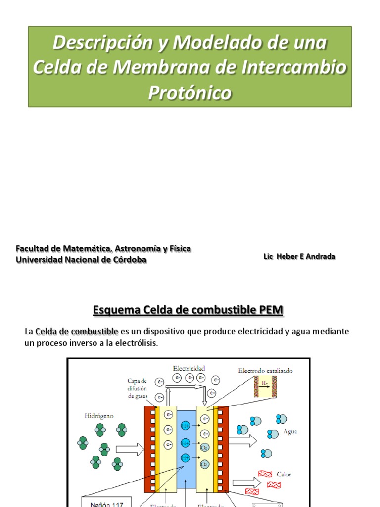 Descripción Y Modelado De Una Celda De Membrana Pdf Tecnología