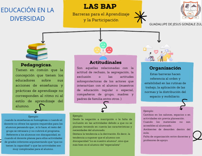 Organizador Grafico Bap Lupe | PDF | Enseñando | Inclusión (Educación)