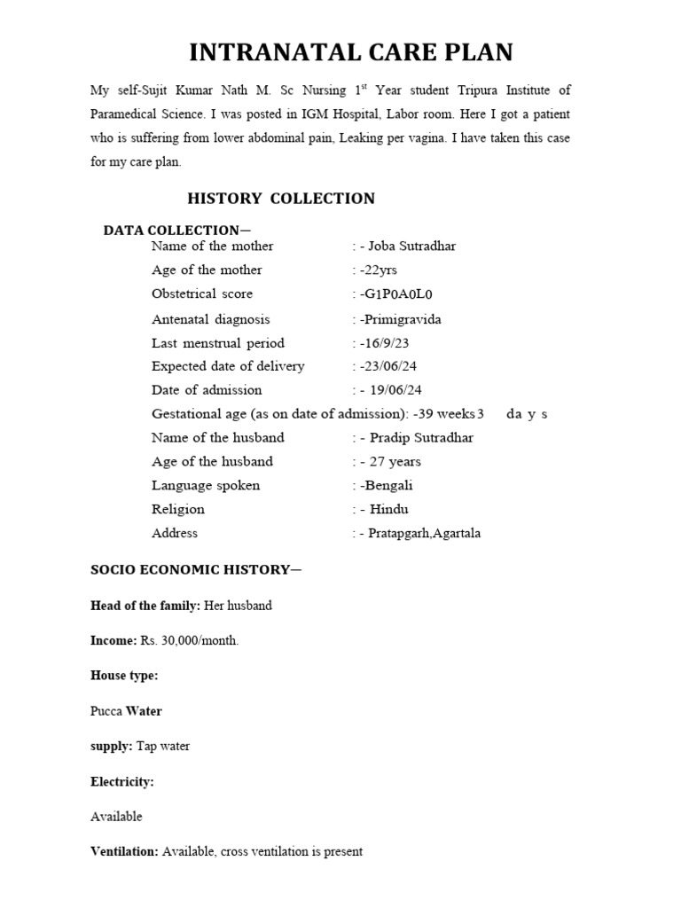 Intranatal Care Plan-1 | Download Free PDF | Childbirth | Pain