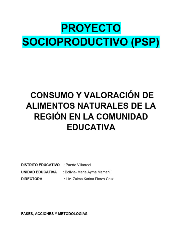PSP 2024 Corregido | PDF
