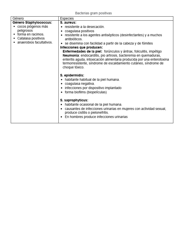 Bacterias Gram Positivas y Negativas: Infecciones y Características ...