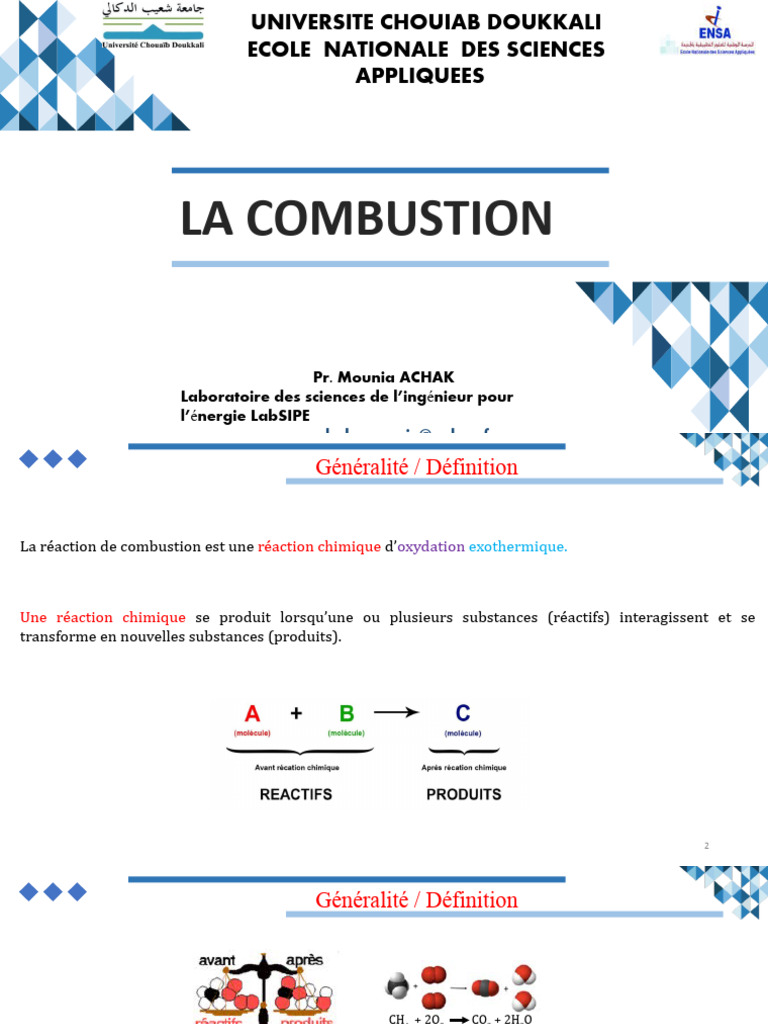 Introduction à la combustion | PDF | La combustion | Monoxyde de carbone