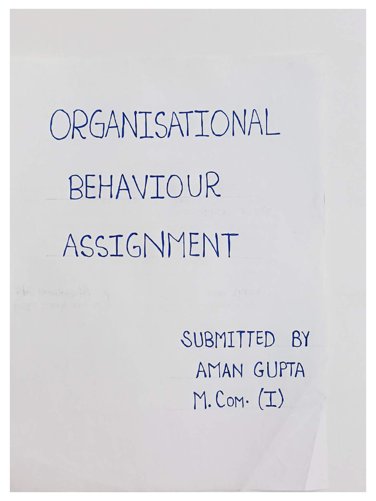 Organisational Behaviour Assignment | PDF