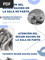 Micro, Matro y Macroambiente PDF | PDF | El embarazo | Embarazo Mamífero