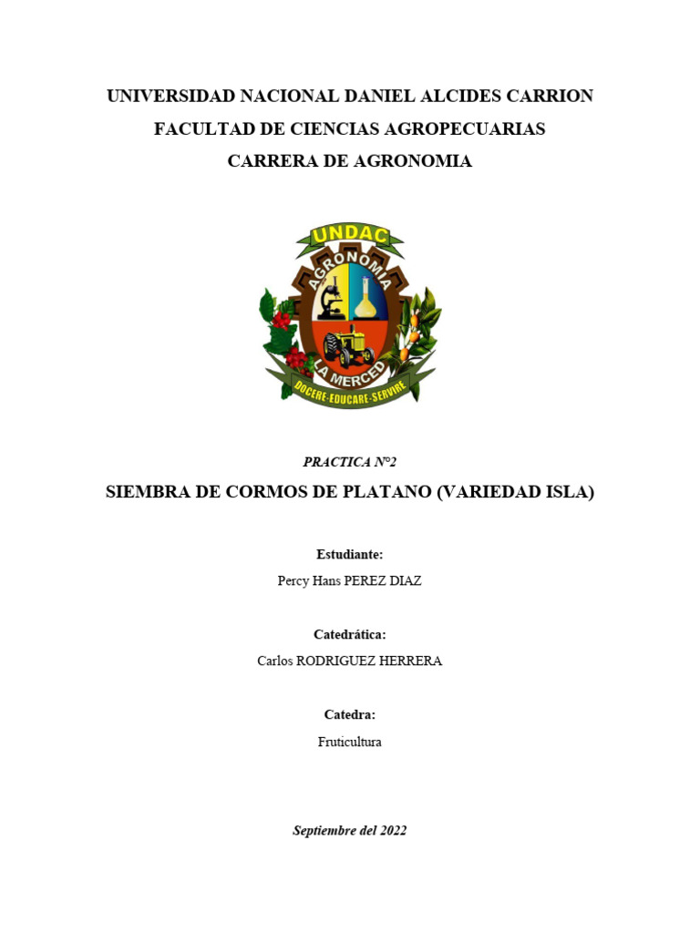 Siembra de Cormos de Plátano Isla | PDF | Tallo de la planta | Plantas