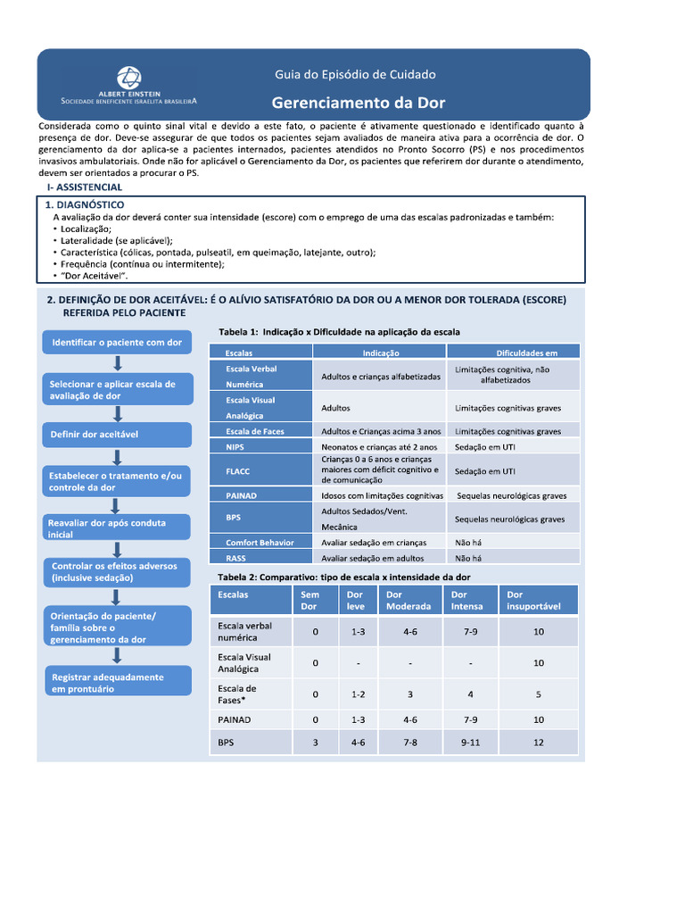 Protocolo Dor Einstein | PDF
