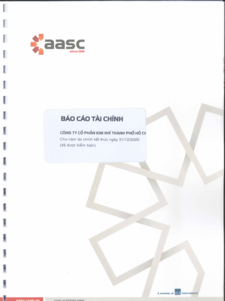 HMC - BCTC KT Nam 2020 | PDF