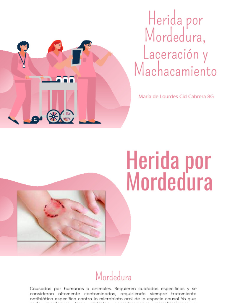 Herida por Mordedura, machacamiento y laceración | PDF | Herida ...