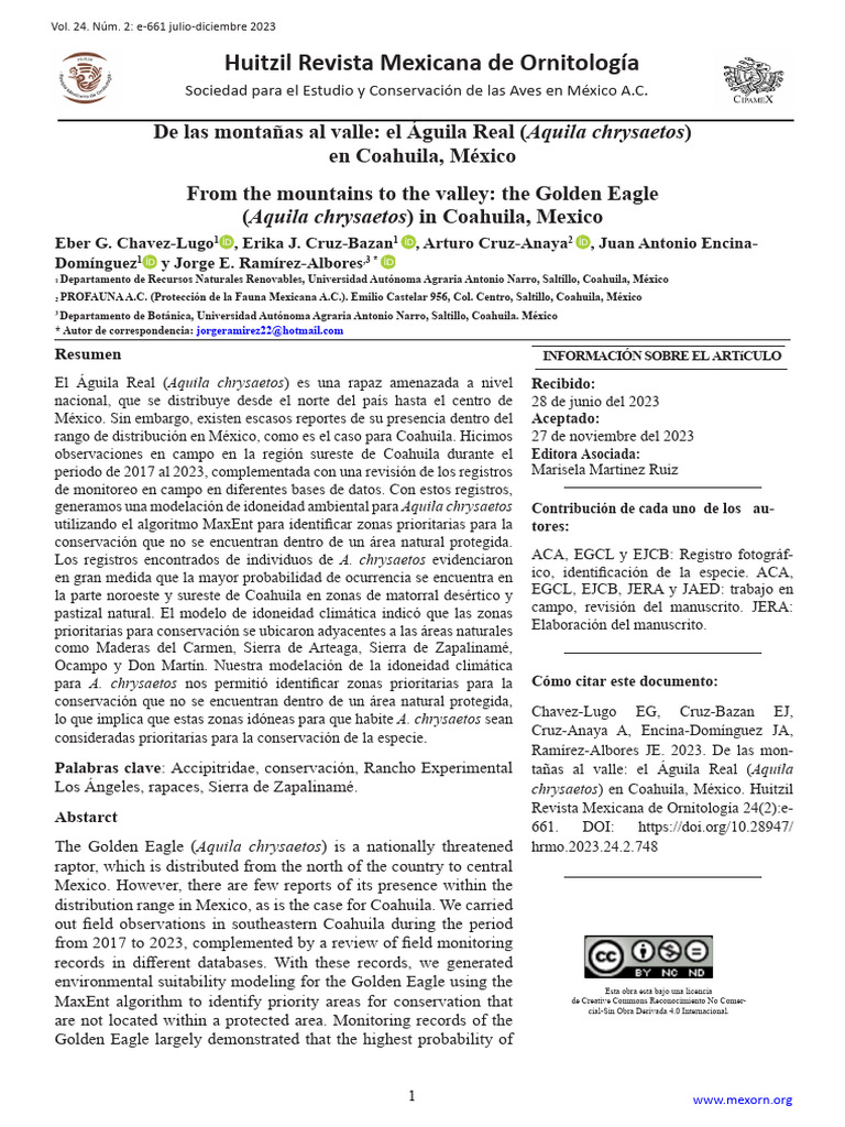 De las ontañas al valle: el Águila Real (Aquila chrysaetos) en Coahuila, México | PDF | México ...