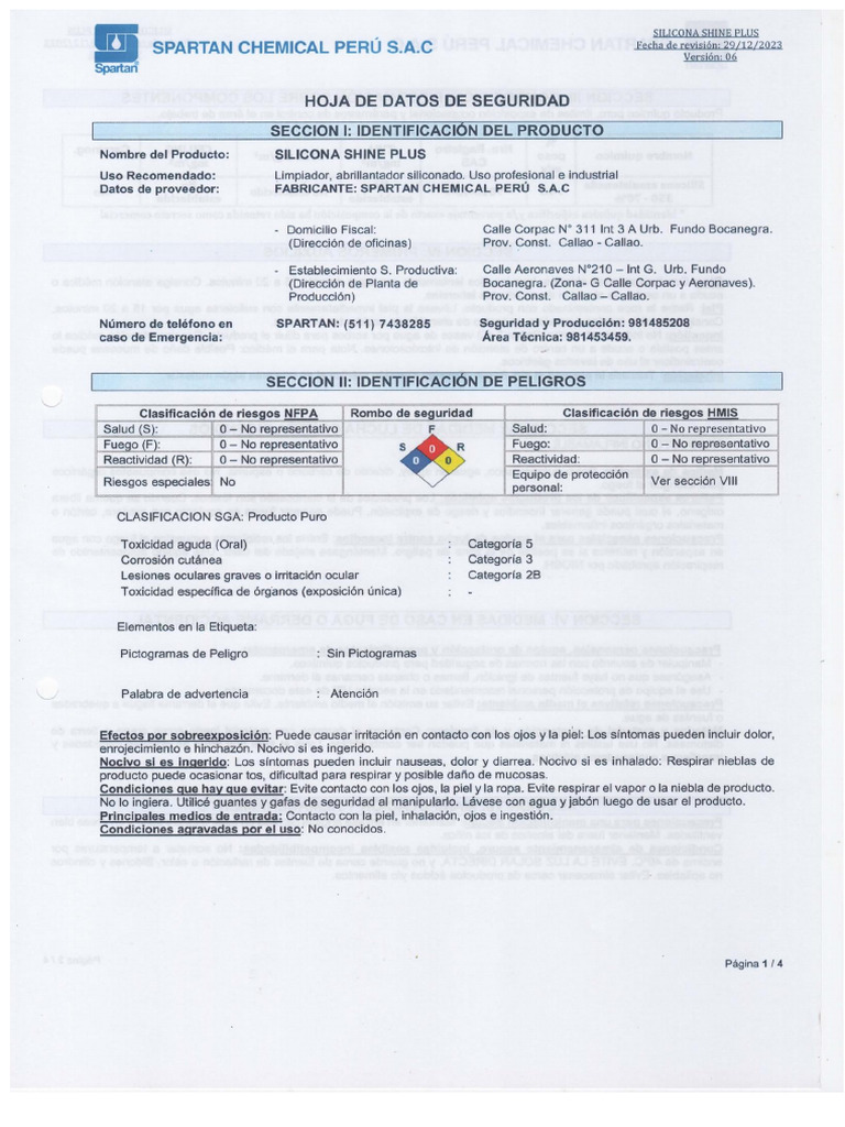 Silicona Shine Plus (FDS) 2024 | PDF