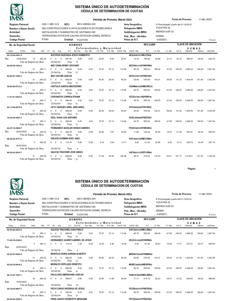 2024 03 Cedula IMSS - MG Dzibil | PDF | Bienestar | Economias