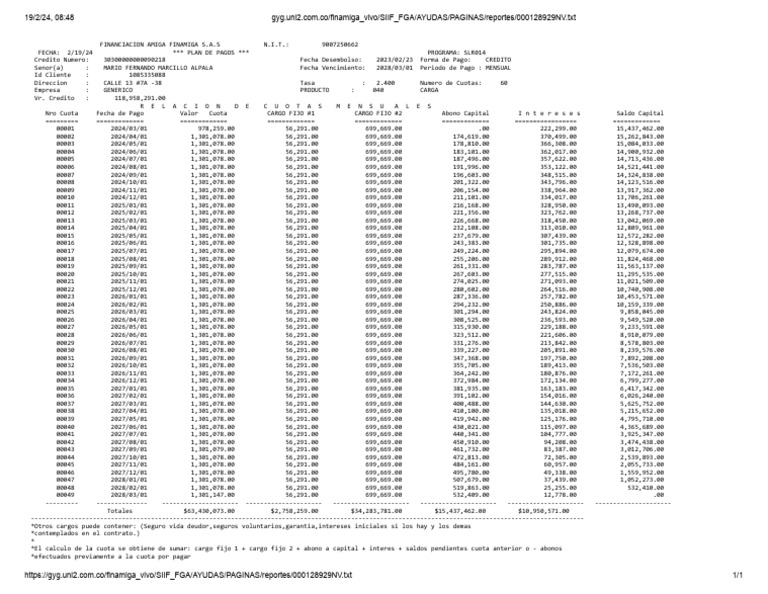 Plan de Pagos Finamiga S.A.S 2024 | PDF | Negocios | Finanzas y dinero