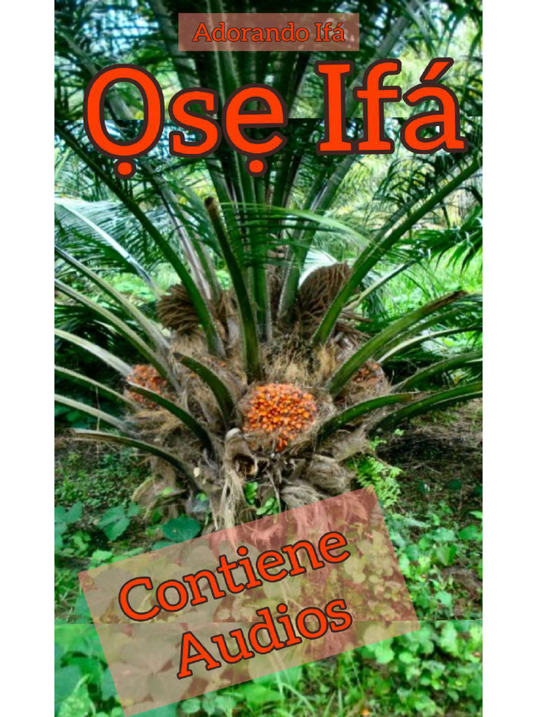 Ose Ifa Adorando Ifa | Descargar gratis PDF | Creencia religiosa y doctrina | Religión étnica