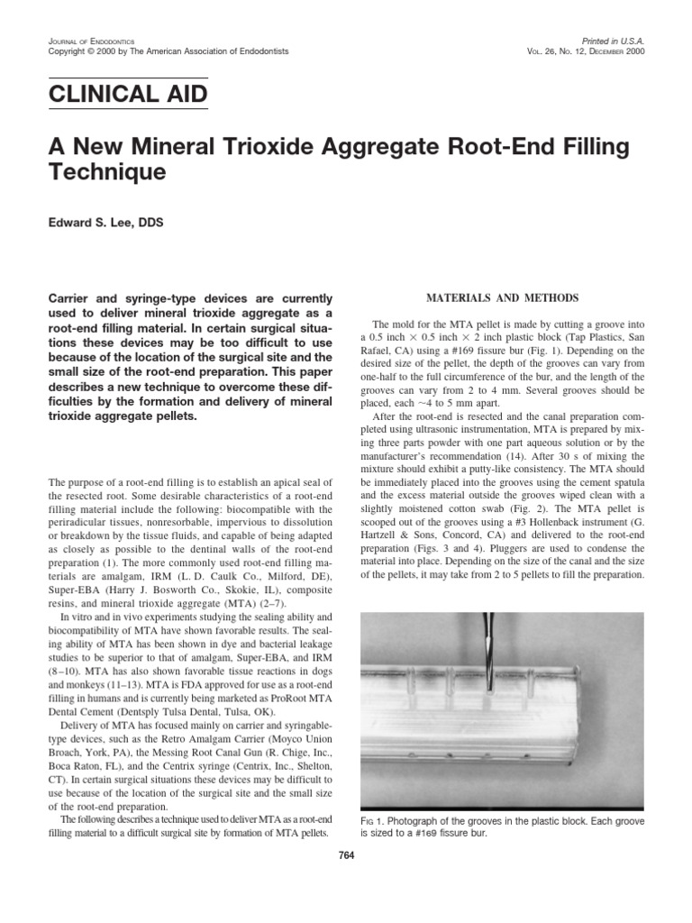A New FORUM - Mineral Trioxide Aggregate Root-End Filling | PDF ...