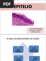 1 Region Superciliar | PDF | Cráneo | Anatomía humana