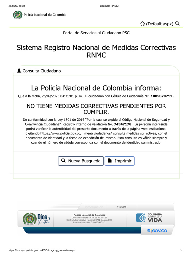 Consulta RNM | PDF
