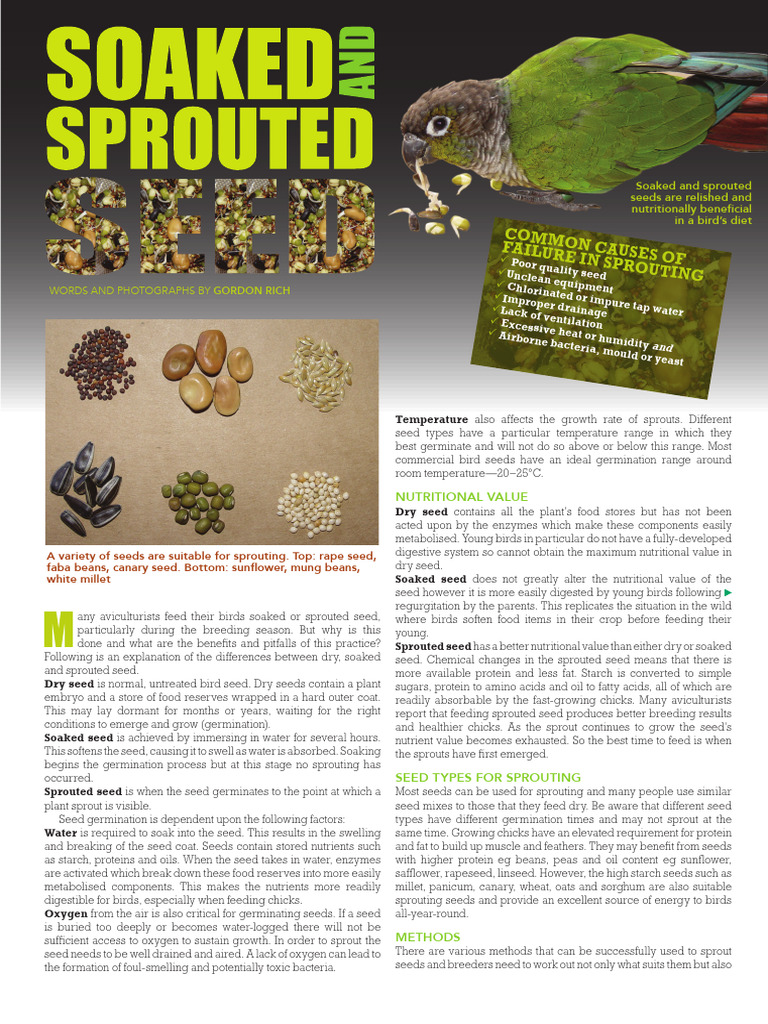 Soaked and Sprouted Seed | PDF | Seed | Germination