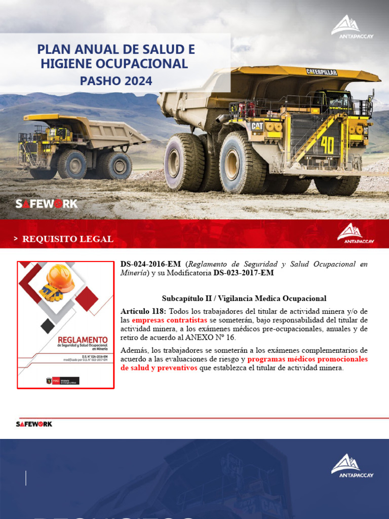 PASHO 2024: Requisitos y Normativas | PDF | Higiene Ocupacional | Auditoría