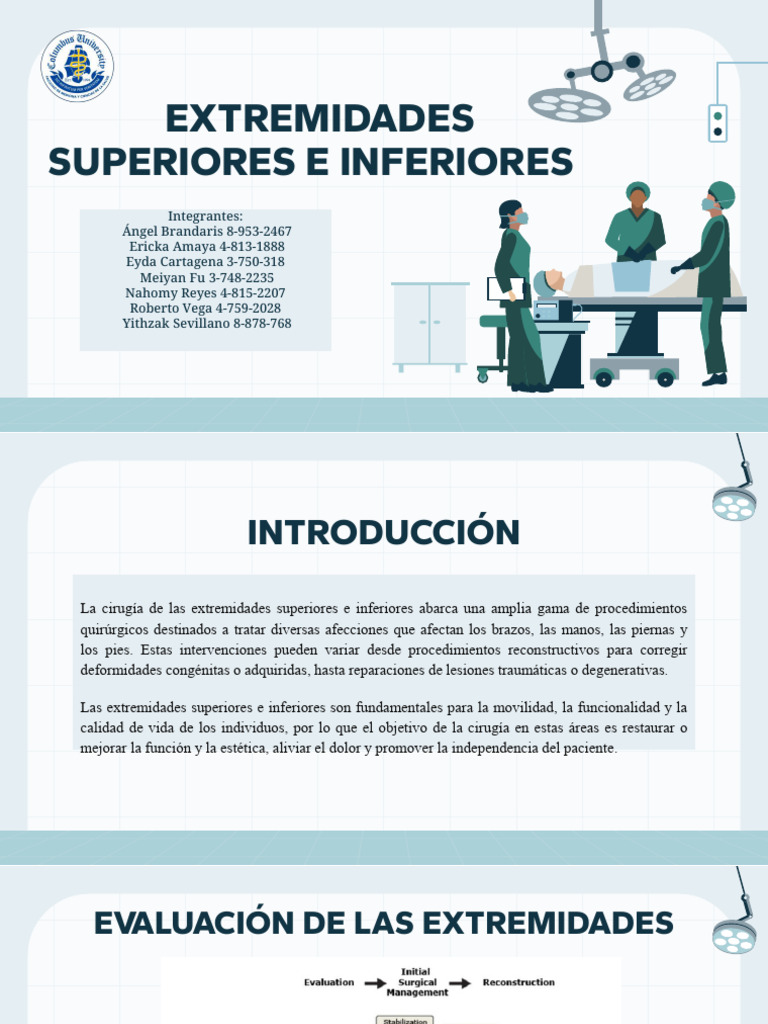 Extremidades Superiores e Inferiores | PDF | Especialidades Medicas ...
