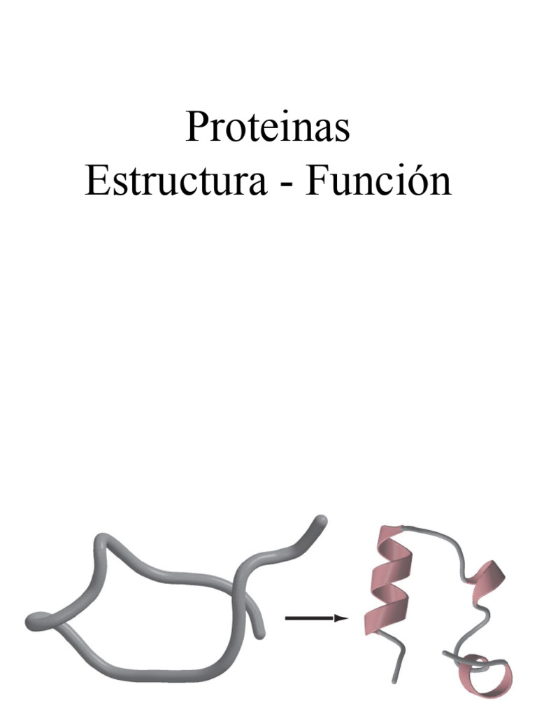 Clase 6 Prot Struct | PDF