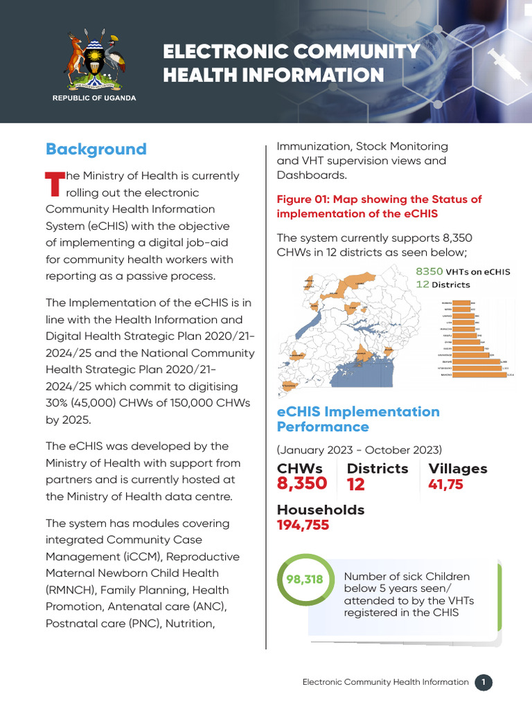 eCHIS Implementation Overview and Impact | PDF | Health Informatics ...