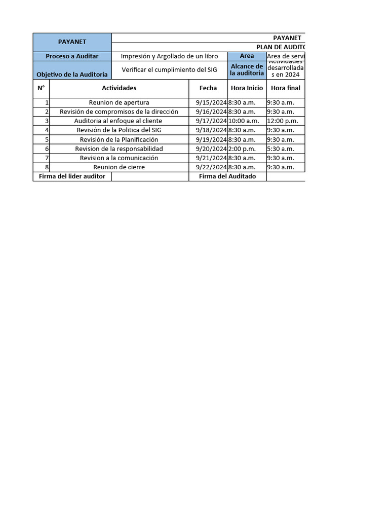 Plan Audito | PDF | Auditoría | Negocios económicos