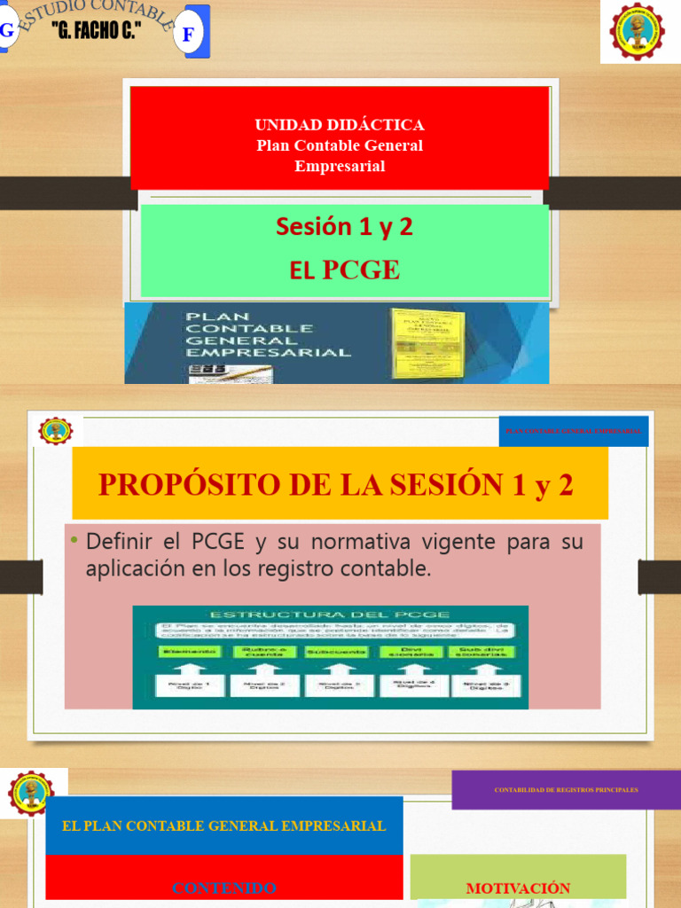 1-INSTRUCTIVO SESIÓN 1 y 2 PCGE (10 AL 18-04-2024) | PDF | Contabilidad | Economias